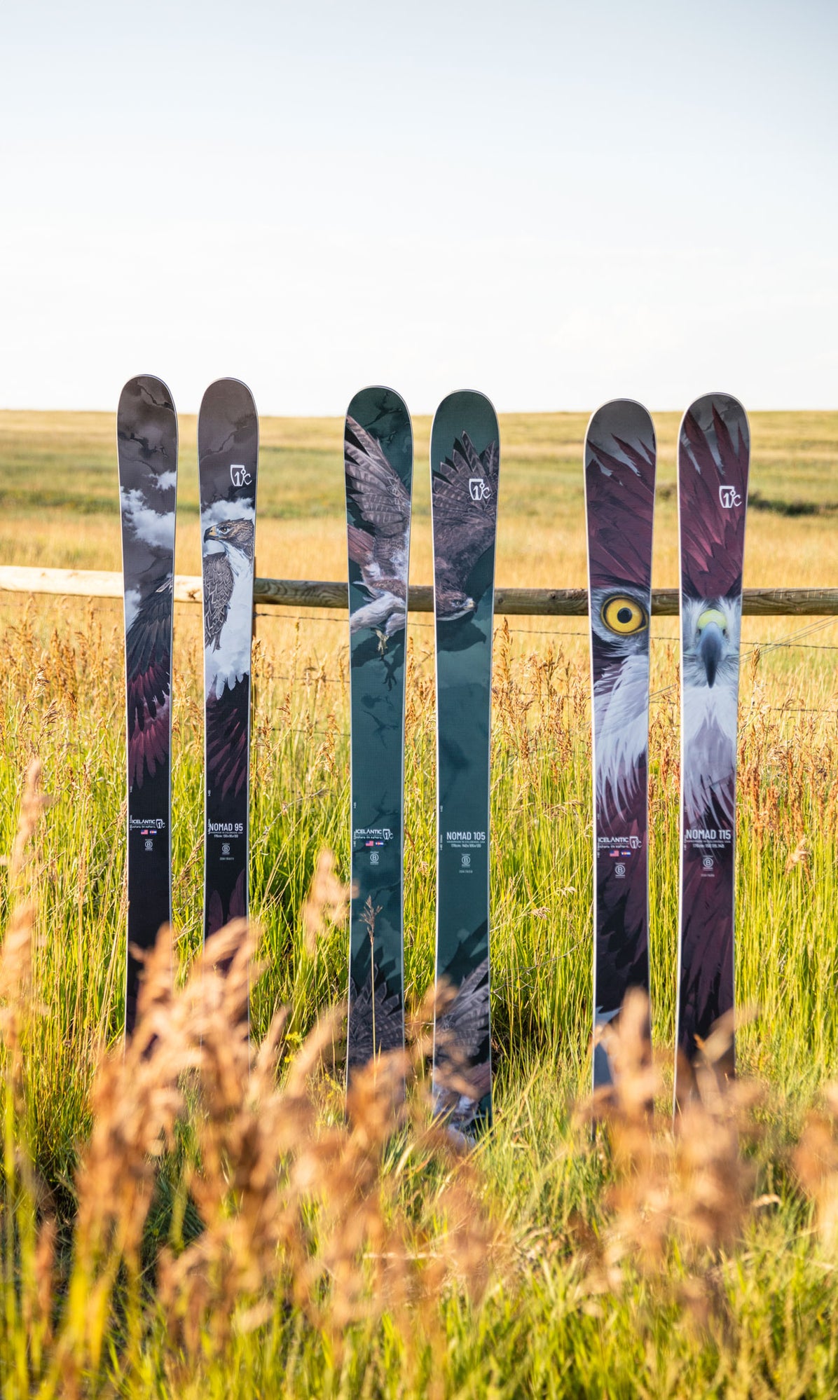 Icelantic Skis | 23/24